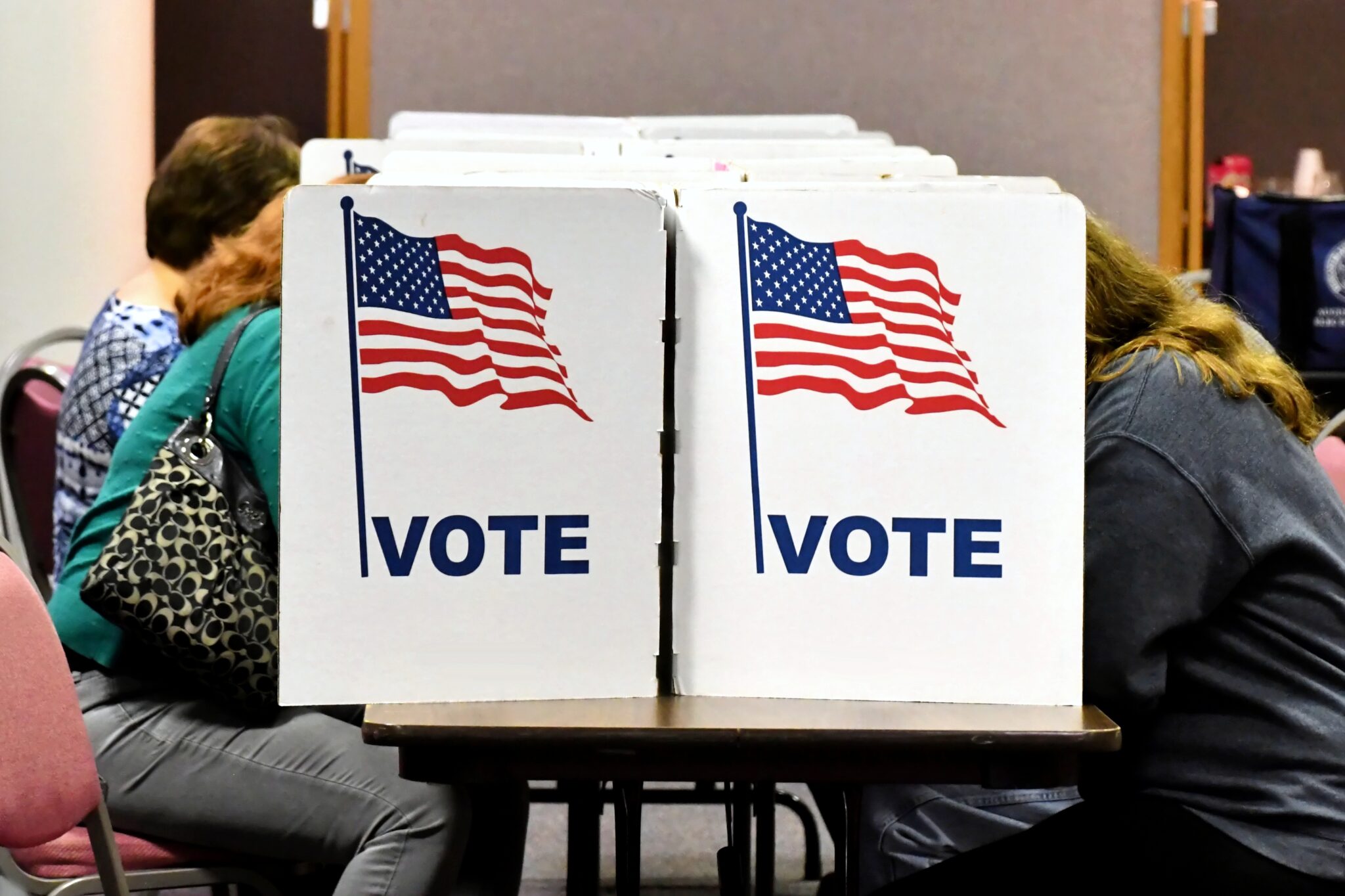 Blog - All Voting is Local